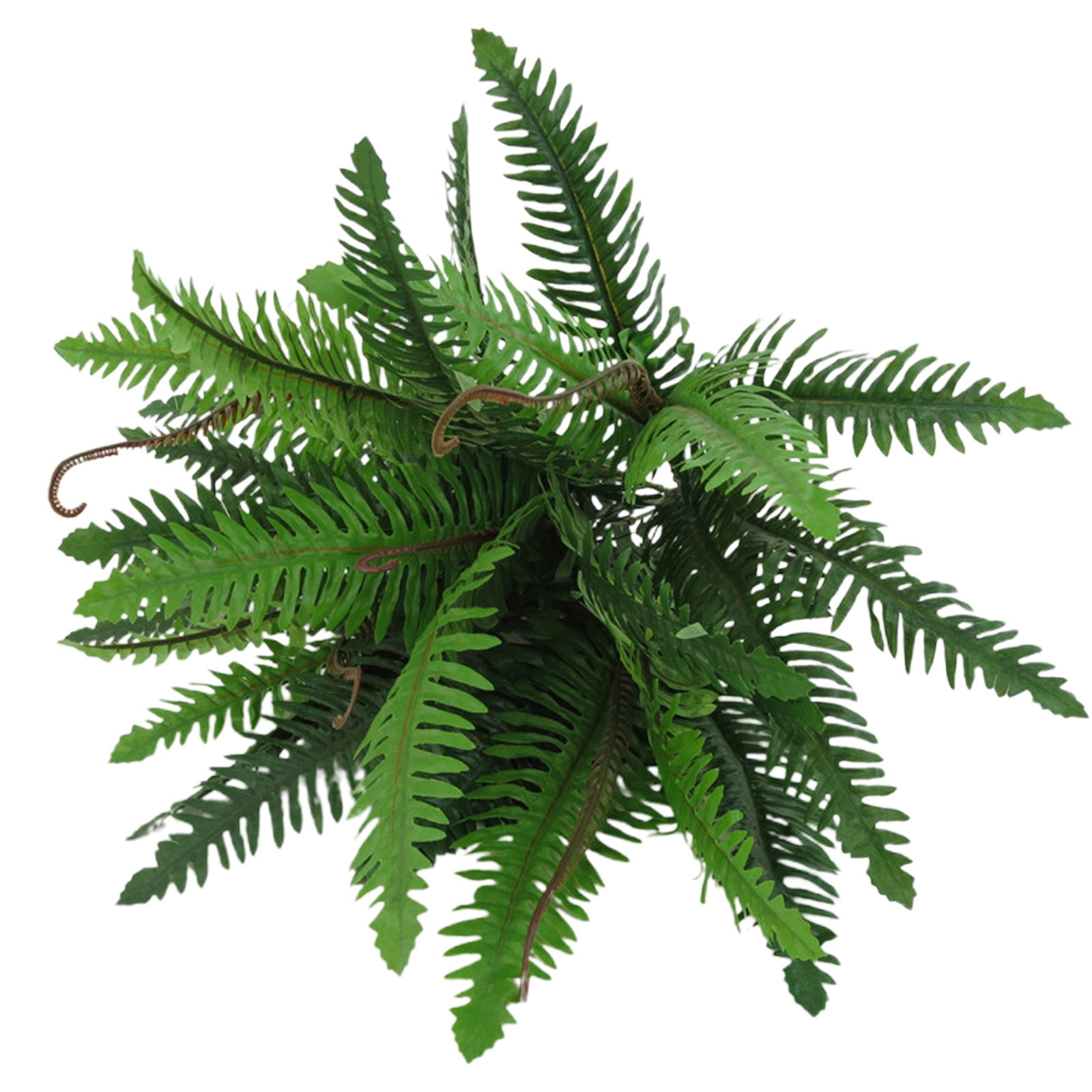 Artificial Boston Ferns Plants, Plastic Persian Grass Faux Shrubs Fake ...