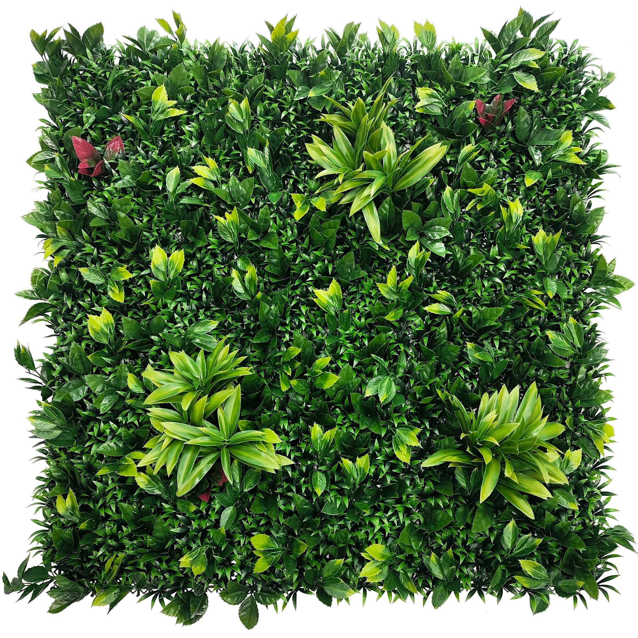 Artificial Boxwood Panels: 40" x 40" (11.5 sqft) UV-Anti Fake Grass Ivy ...