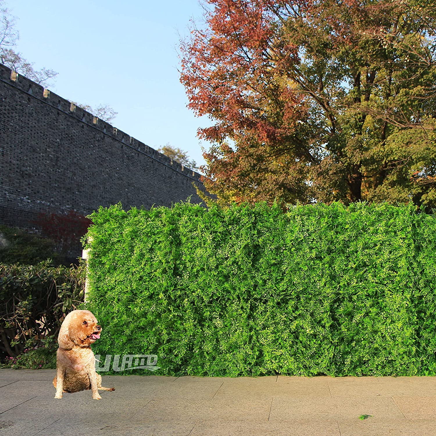 Artificial Boxwood Topiary Hedge Plant Sound Diffuser Privacy Fence ...
