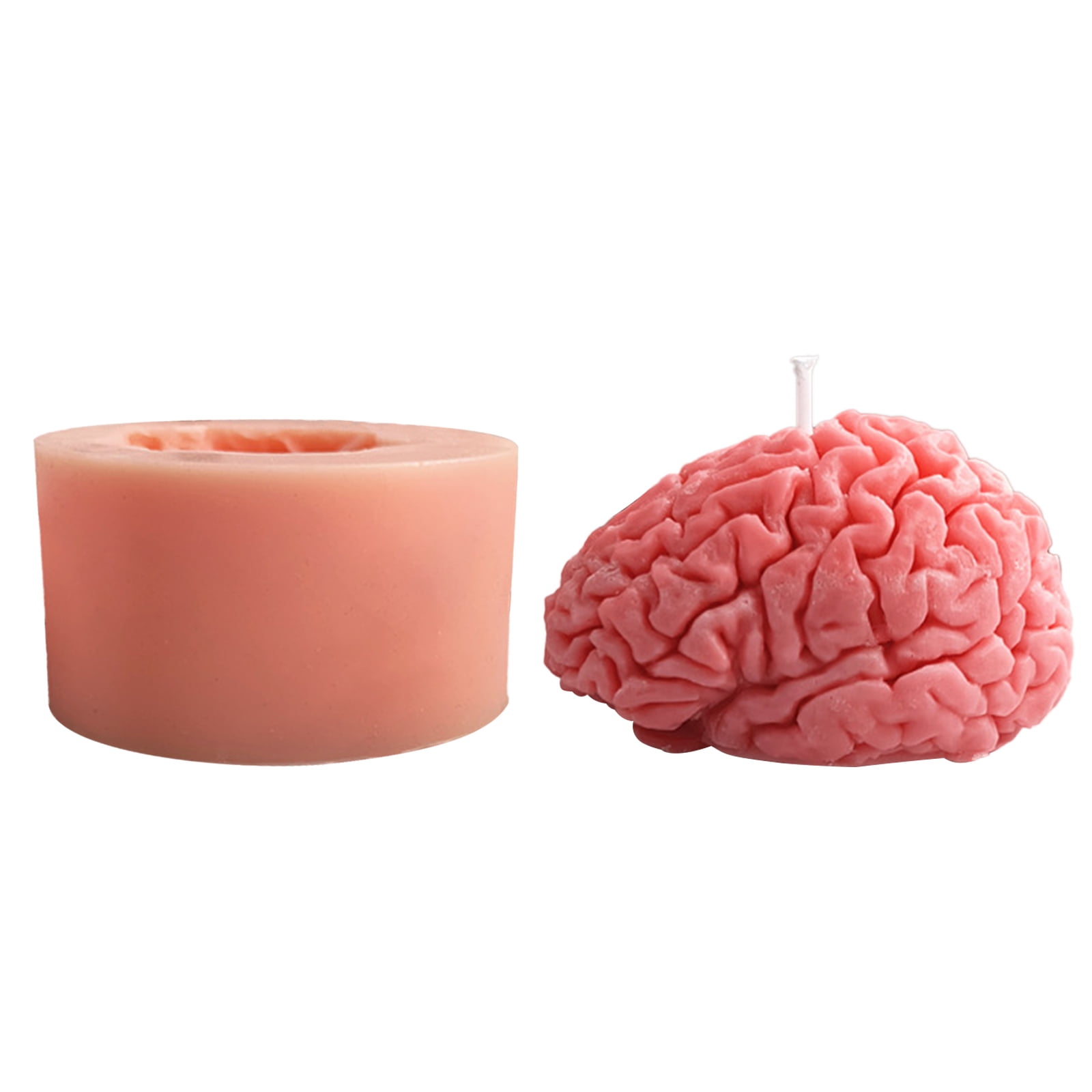Artificial Brain Shape Casting Resin Mould Brain Silicone Mold Fondant ...