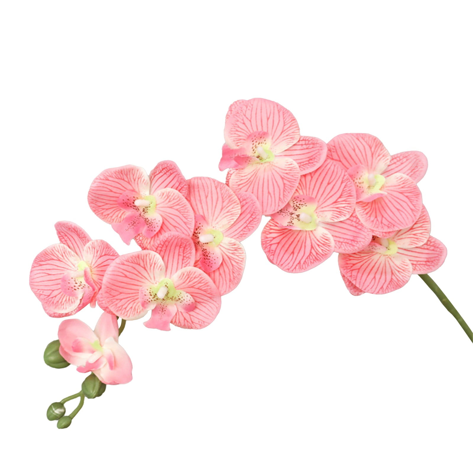 Artificial Butterfly Orchid Bundles for Spring,Fake Butterfly Orchid ...