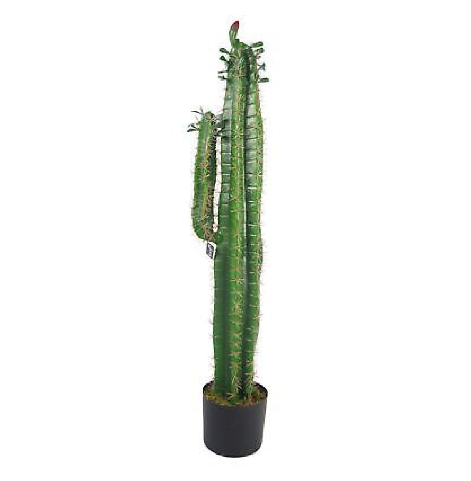 Artificial Cactus Cacti Plant Potted Black Pot 110cm Realistic Faux ...