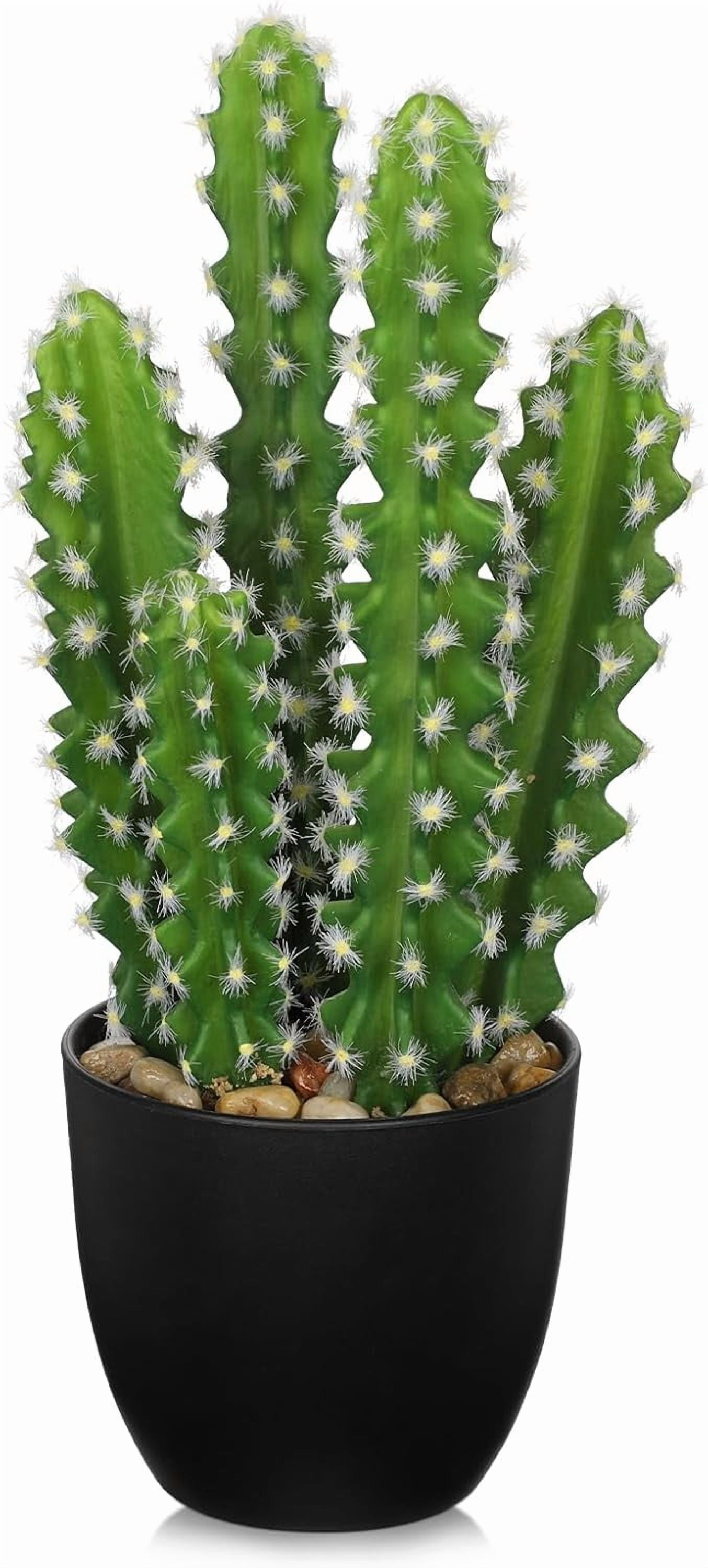 Artificial Cactus Plants 10.8" Small Faux Indoor Fake Desert Cacti ...