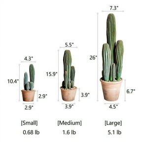 Artificial Cactus