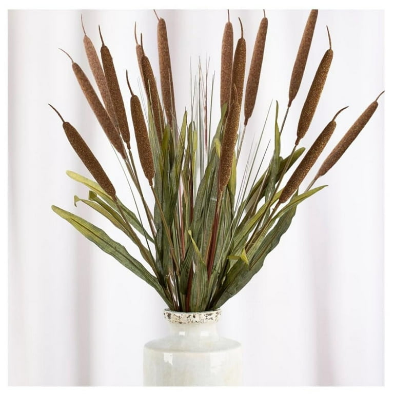 Cat Tail Flower Arrangements | Best Flower Site
