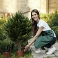 Artificial Cedar Topiary Tree Outdoor with Ground Spike, 23.6 Inch Faux ...