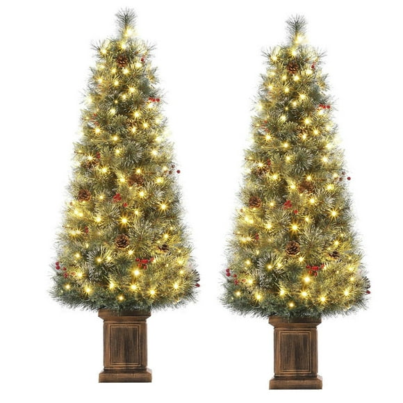 Cypress Christmas Tree