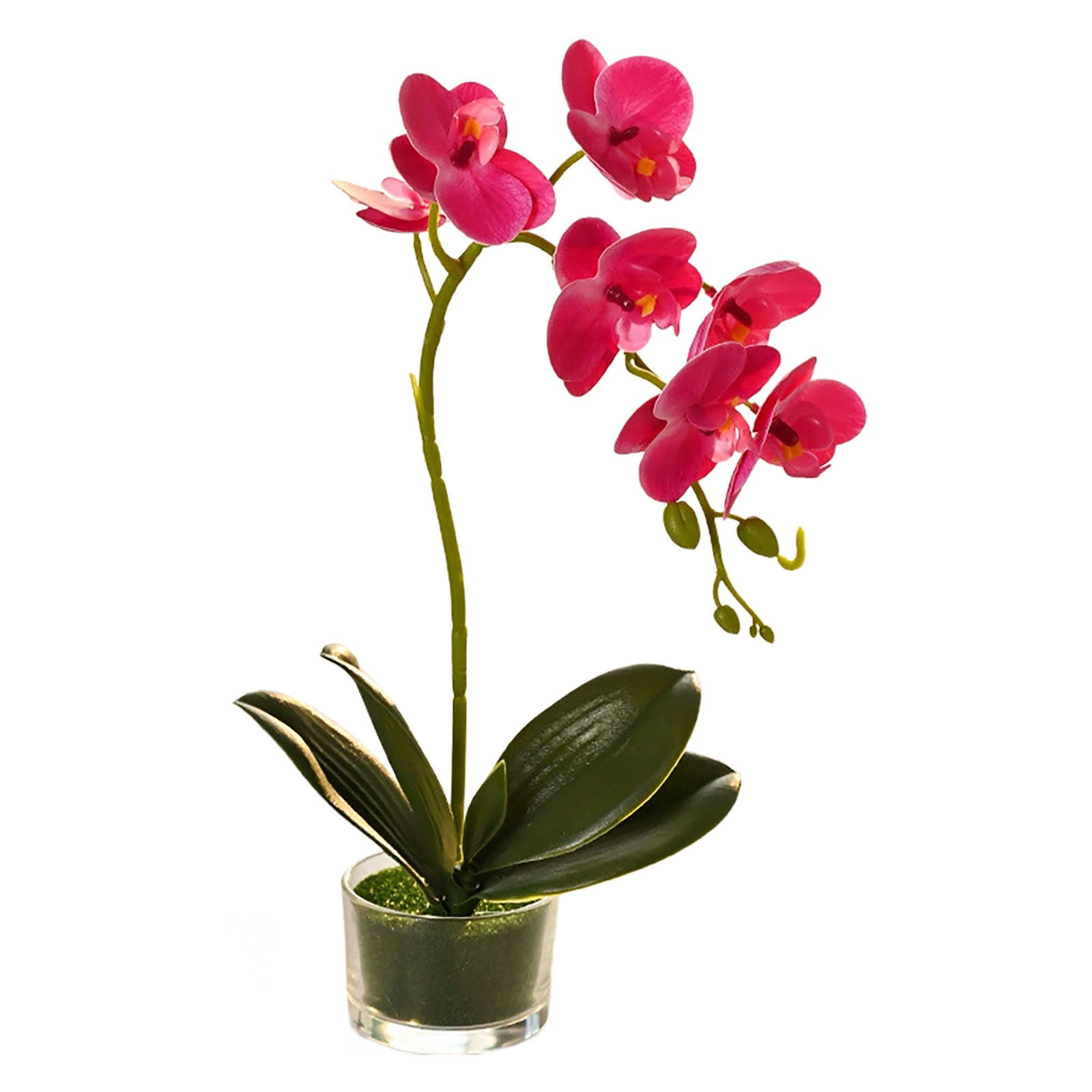 Phalaenopsis Potted Plants ,1 Pcs Glass Vase Artificial Orchid Flower ...