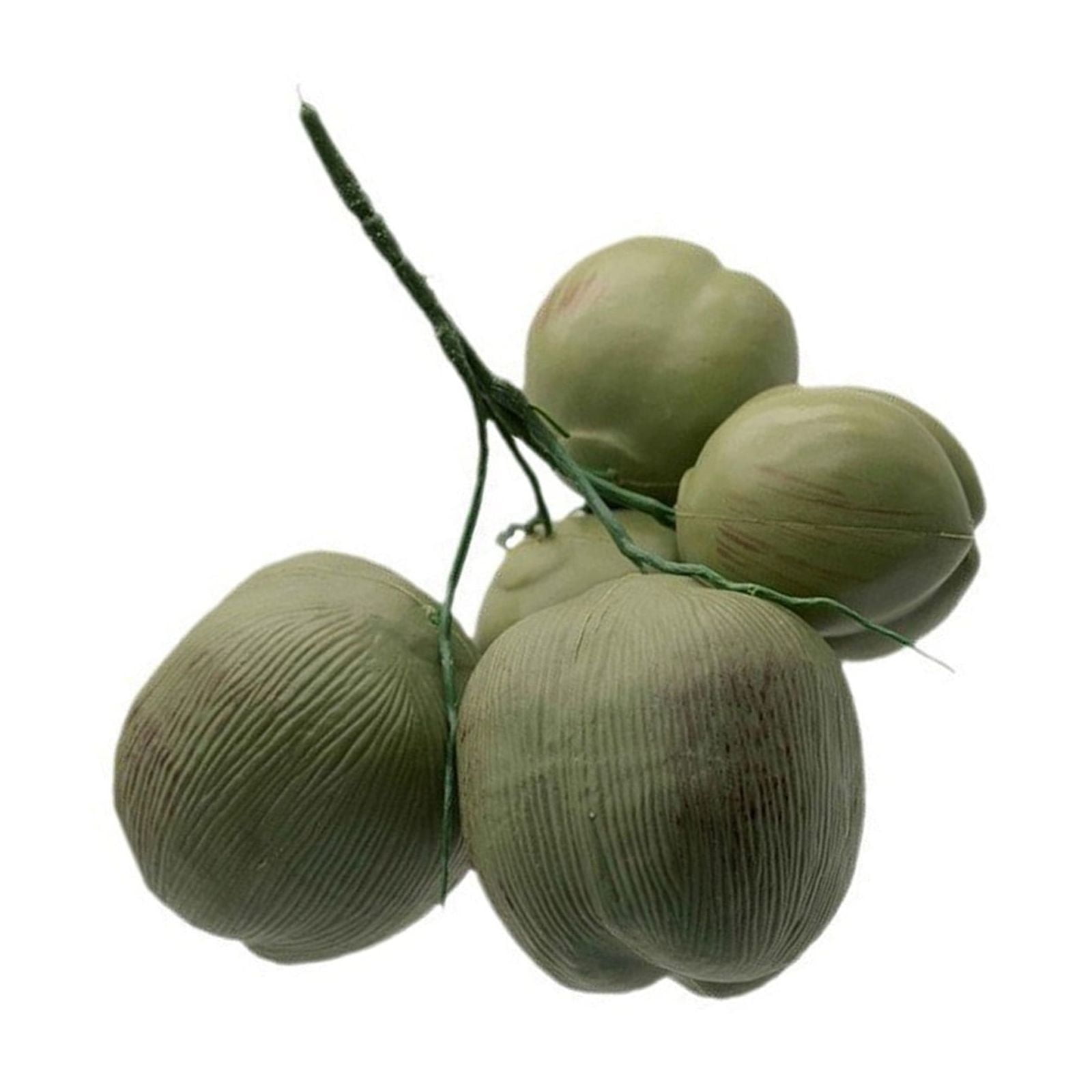 Artificial Coconut Fake Coconut Simulation Coconut Plastic Coconut for ...