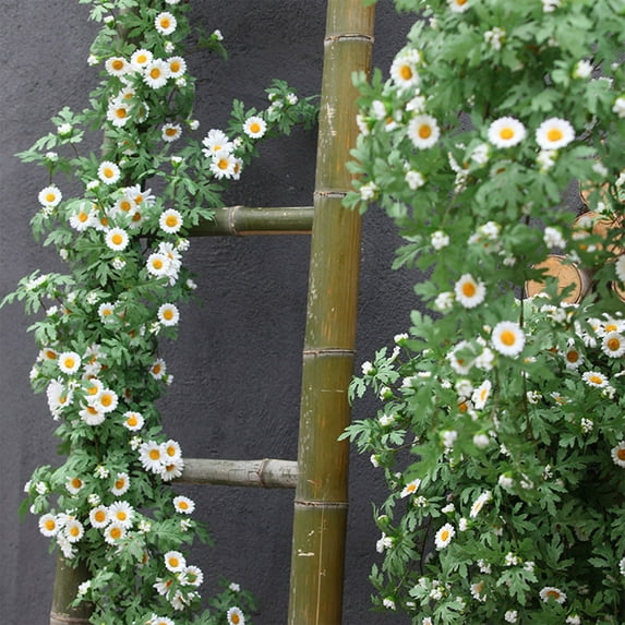 Artificial Daisy Rattan Vine Wall Hanging | 66-Flower Green Simulation ...