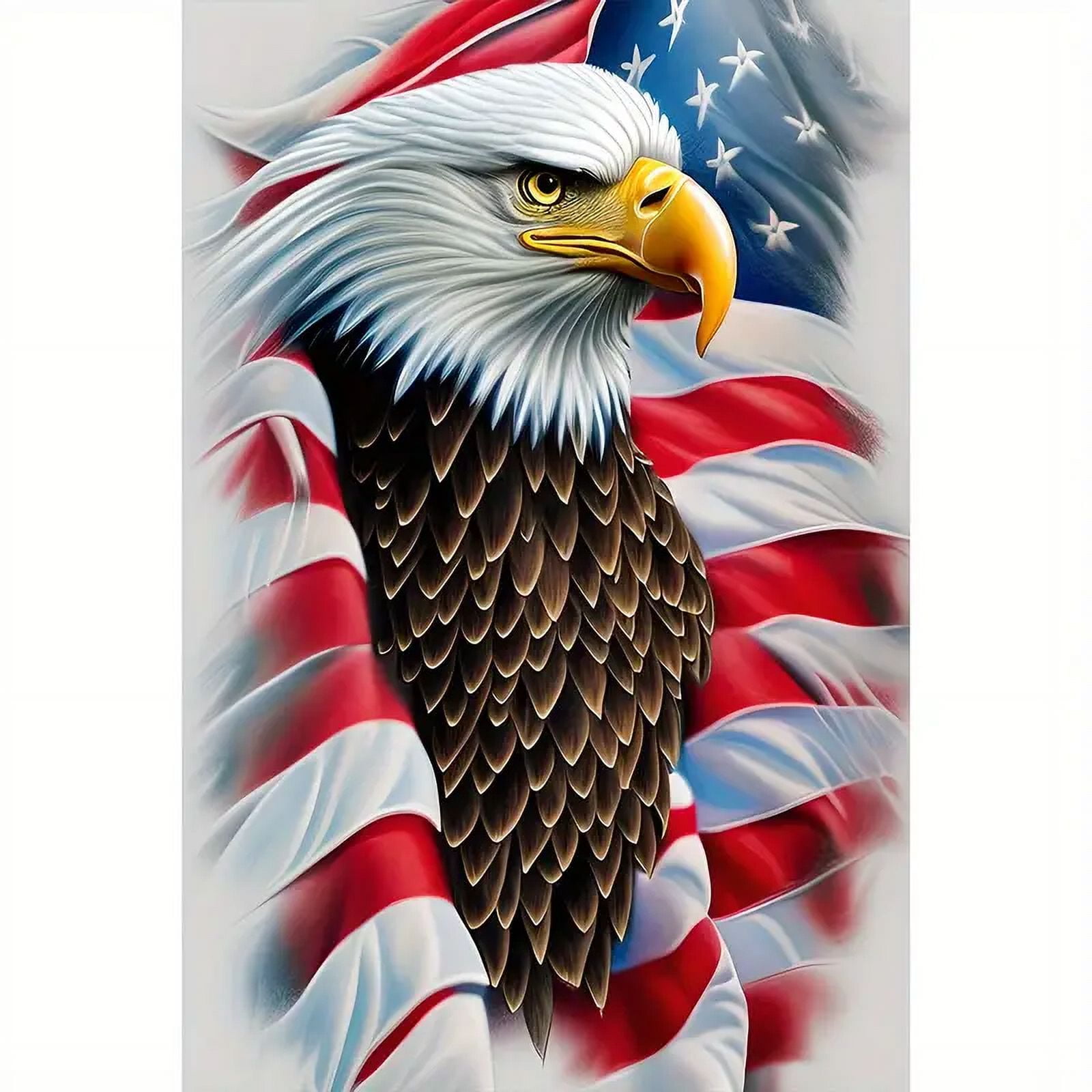Artificial Diamond Painting Kits For Adults, American Flag Eagle DIY 5D ...
