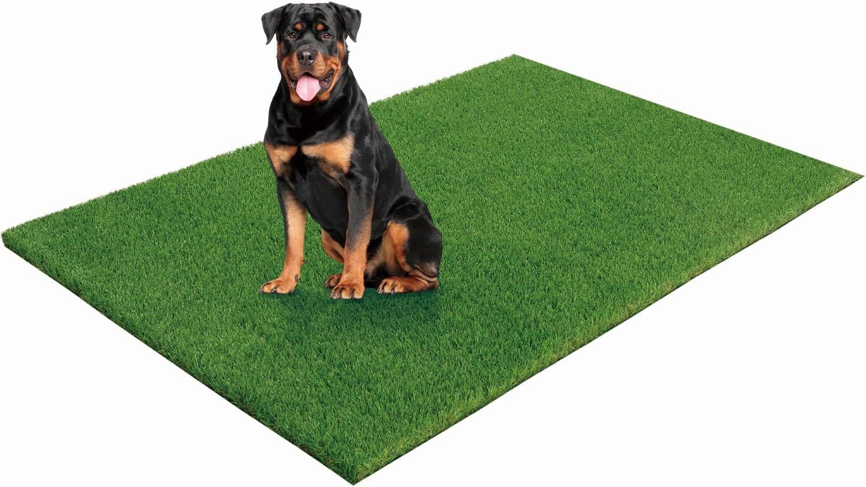 Artificial Dog Grass Pad -Thick Fake Grass Pee Mat for Dog Potty ...
