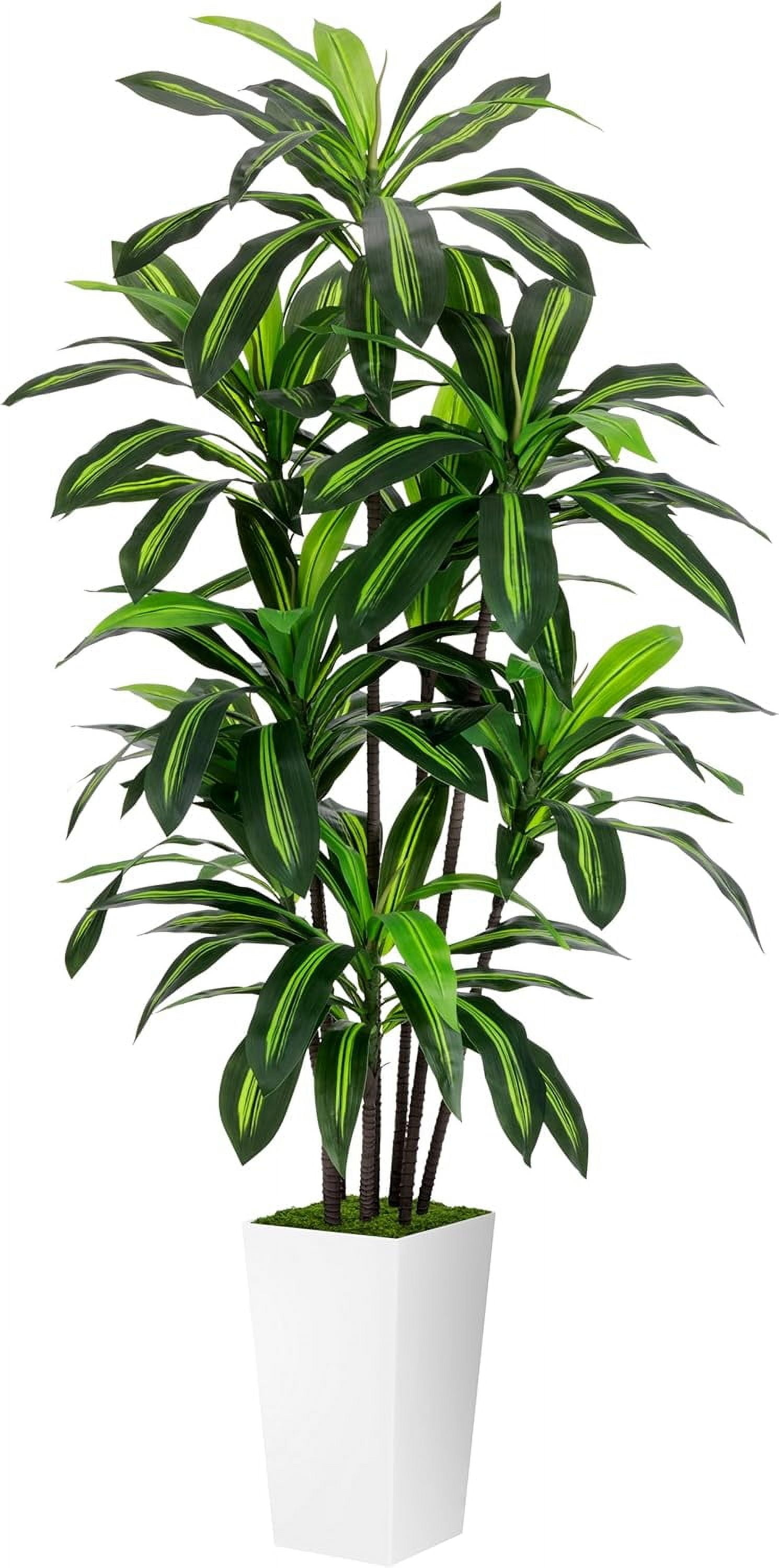 Artificial Dracaena Plant 6FT - Fake Tree with White Tall Planter ...