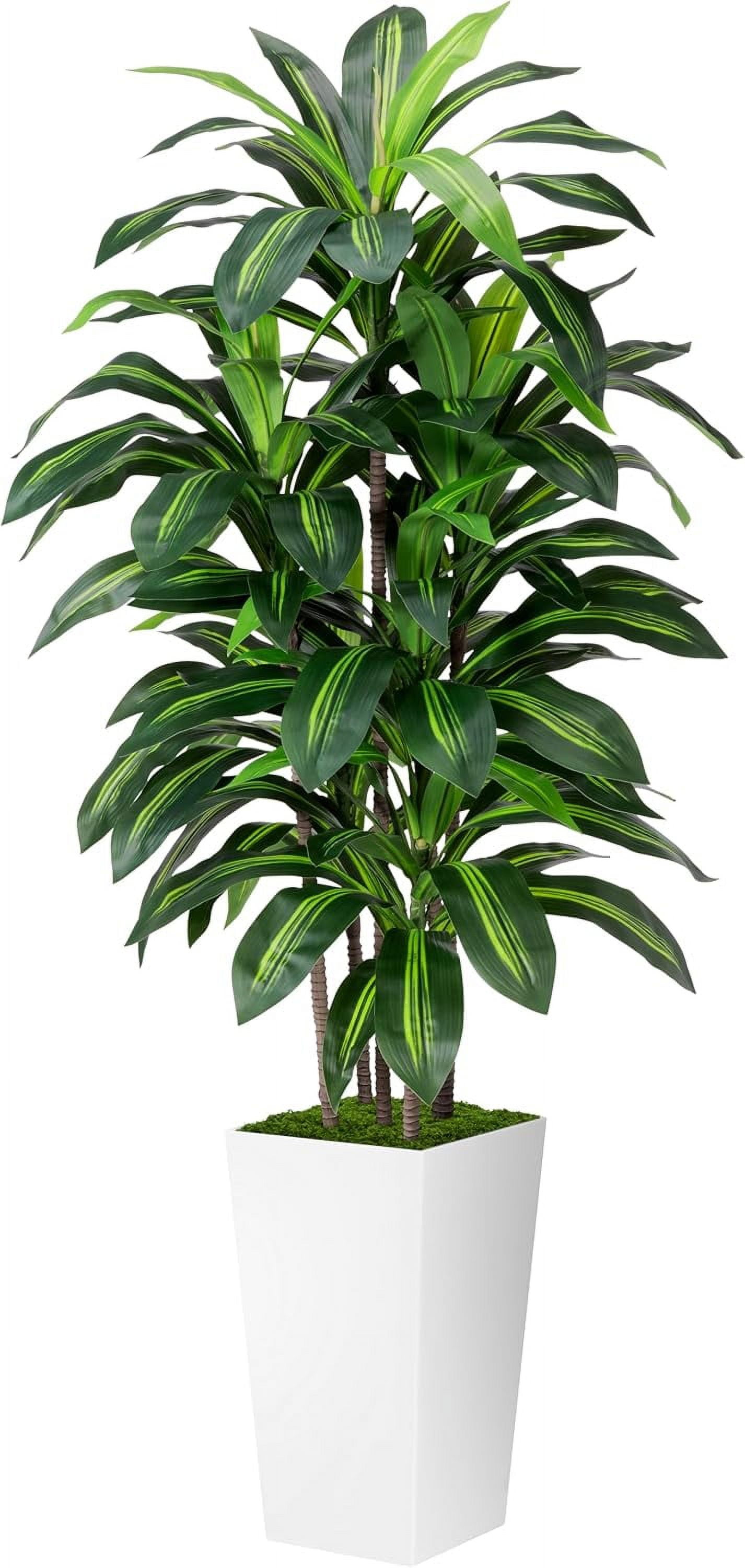 Artificial Dracaena Plant Indoor 5FT - Fake Tree with White Tall ...
