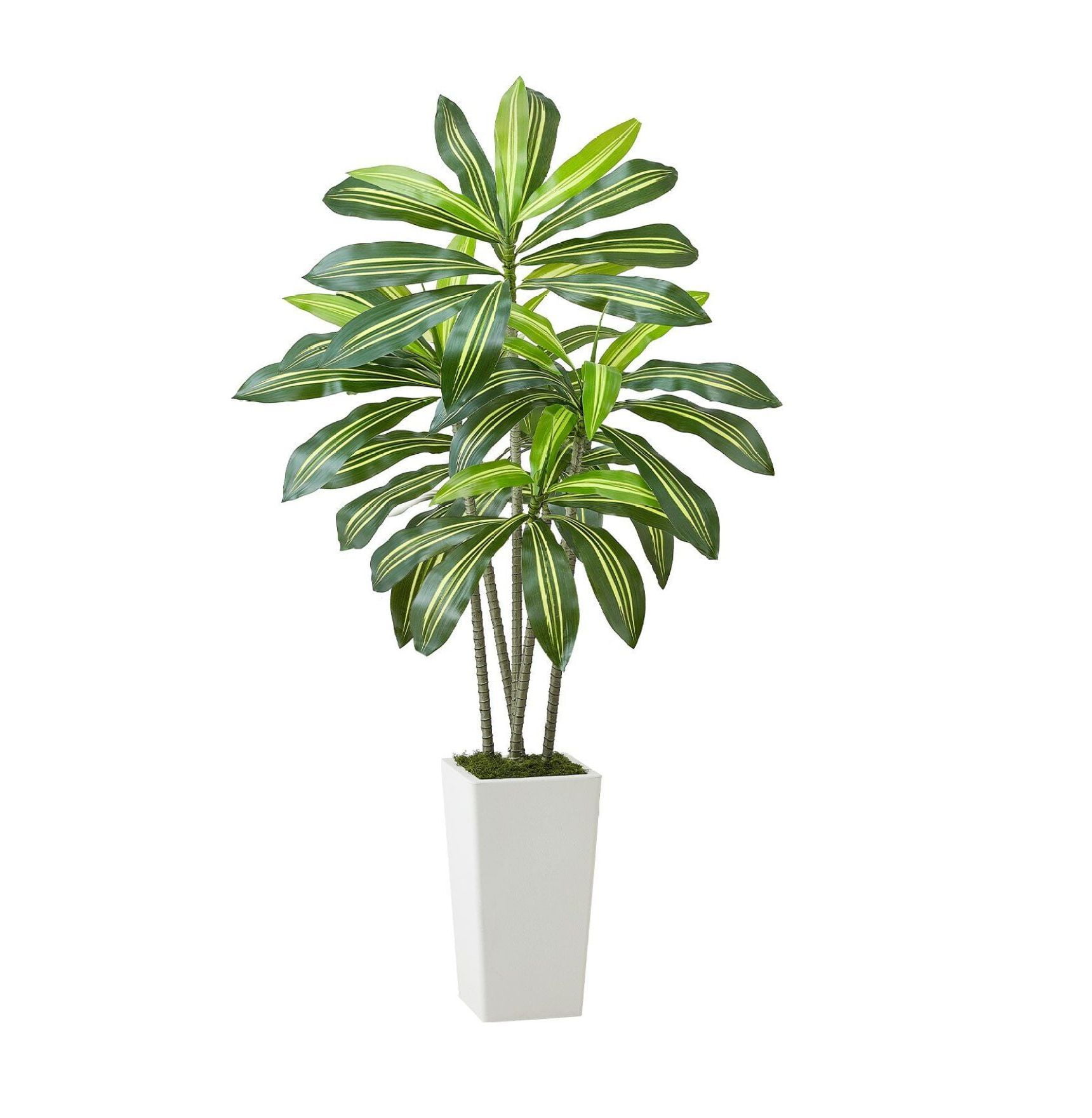 Artificial Dracaena Tree 5 ft, Fake Palm Tropical Plants with White ...