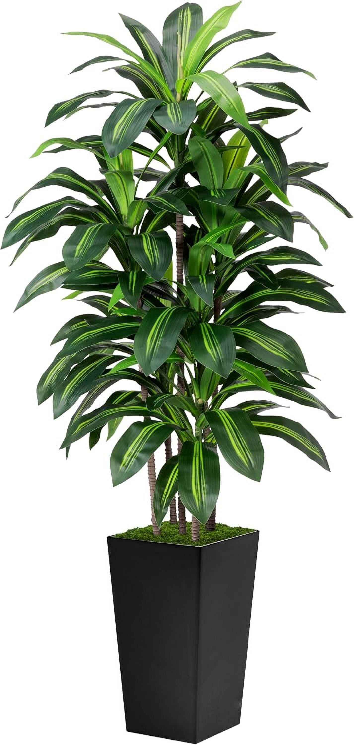 Artificial Dracaena Tree 5FT - Fake Tree with Black Tall Planter - Faux ...