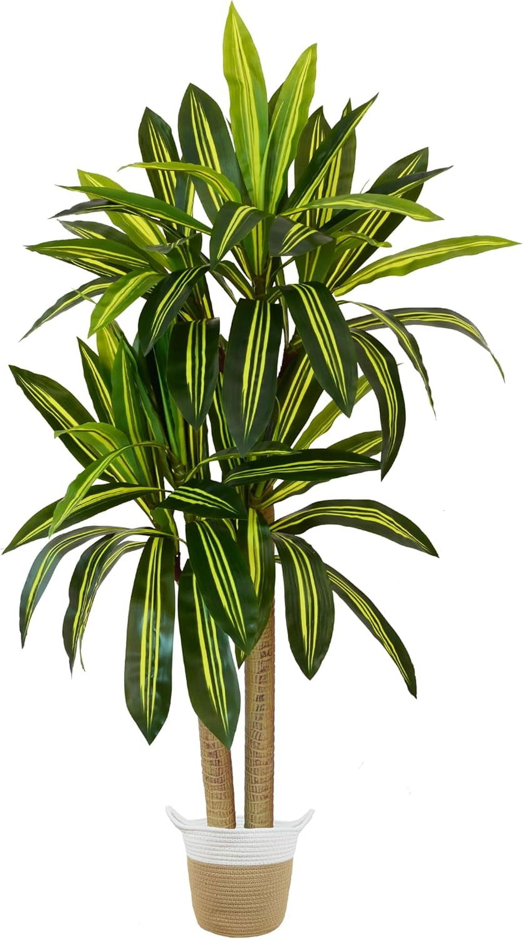Artificial Dracaena Tree 5ft Tall with Woven Basket for Indoor Outdoor ...