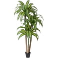 Artificial Dracaena Tree 6 Ft with Silk Leaves and Natural Trunk in ...