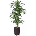 Artificial Dracaena Tree 6FT - Fake Tree with Brown Taper Planter ...