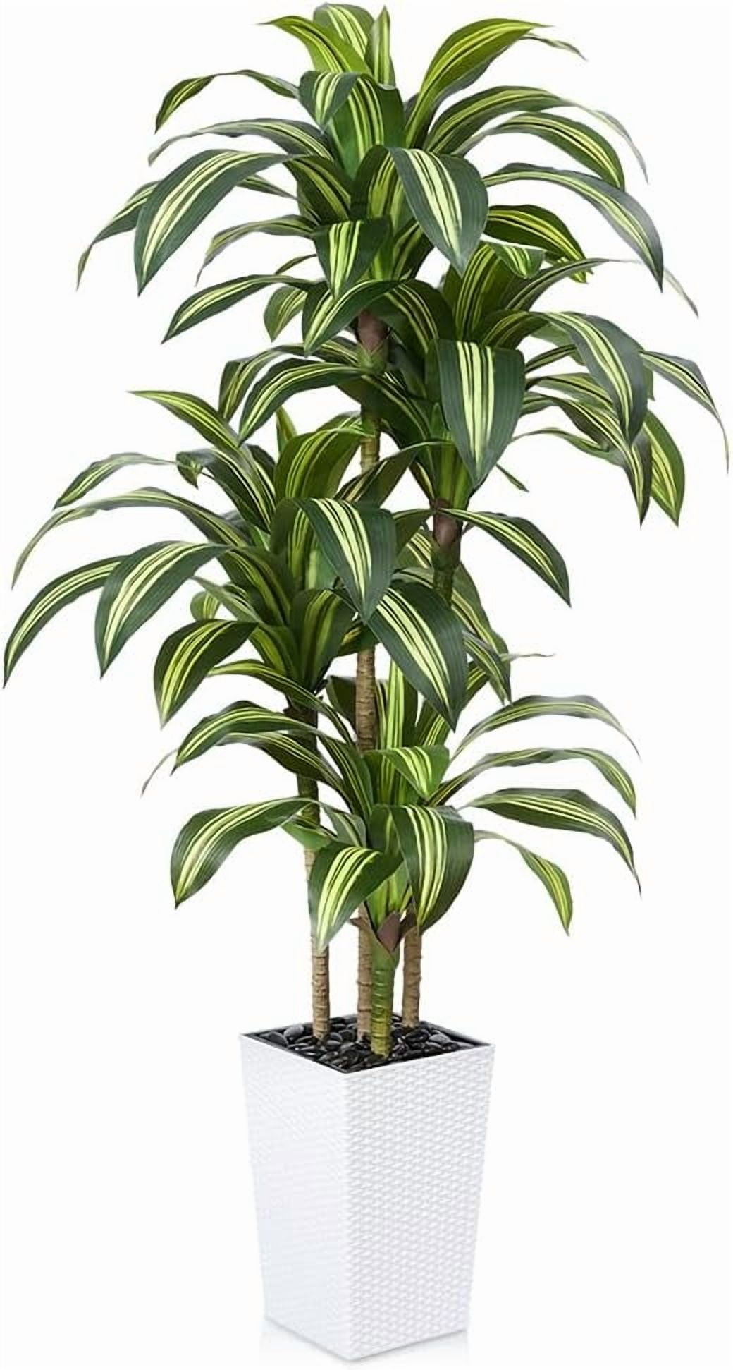 Artificial Dracaena Tree 6FT - UV Resistant Faux Tree with Large Taper ...