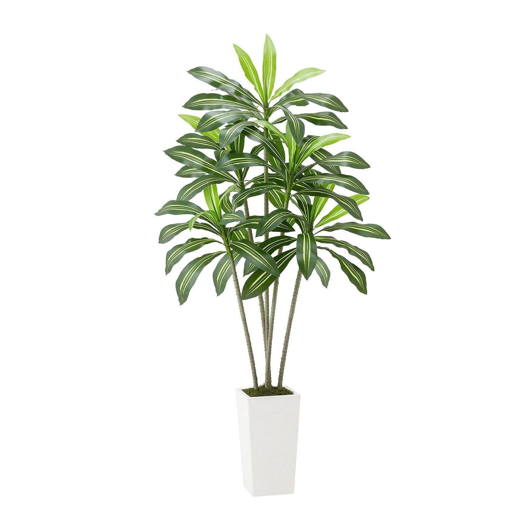 Artificial Dracaena Tree 6ft with Planter, Faux Tropical Plants Indoor ...