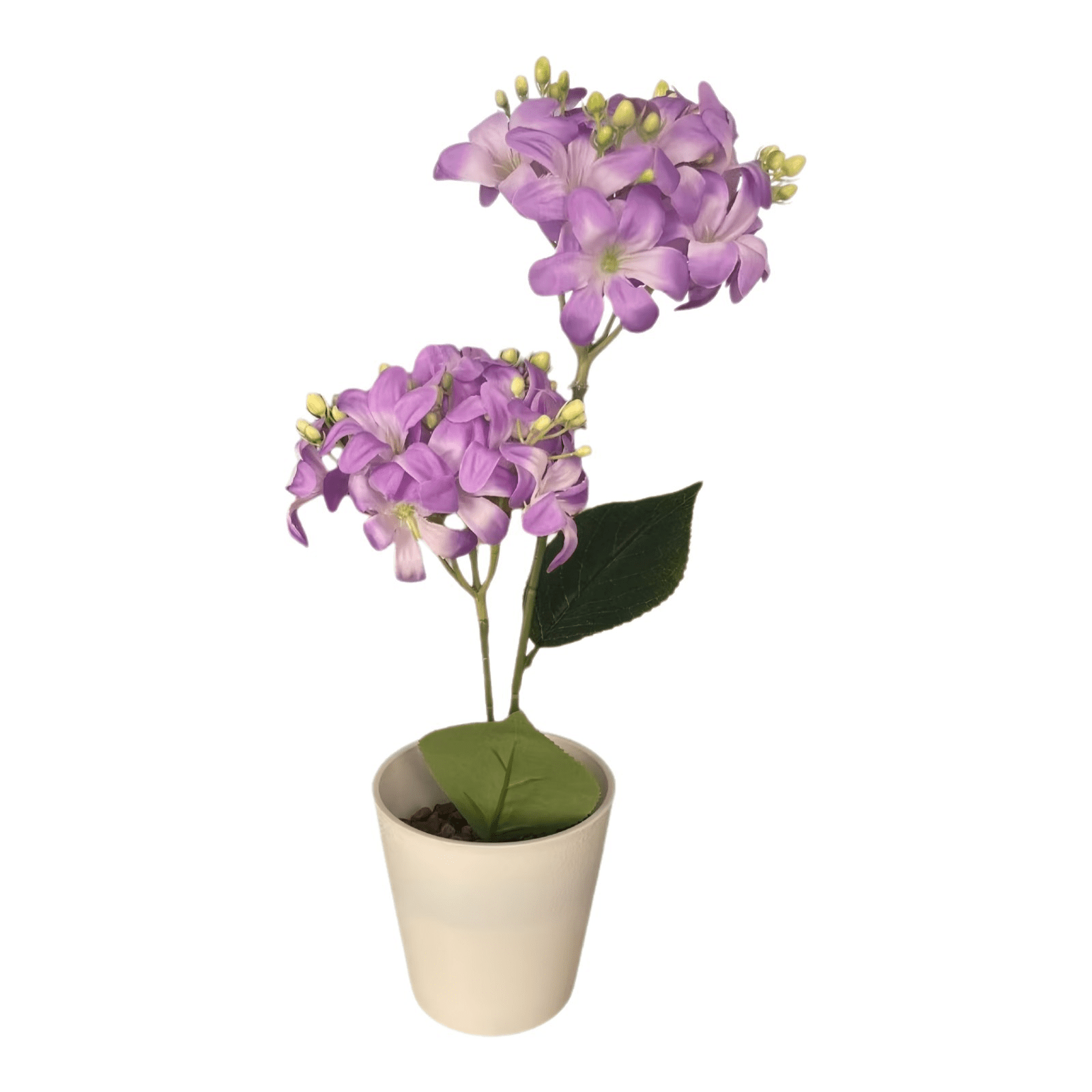 Artificial Dried Hydrangeas Retaining Hand Held Bouquets Living Room ...