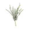 Artificial Eucalyptus Leaves 6" - 10" for Home Decoration Dried Flower ...