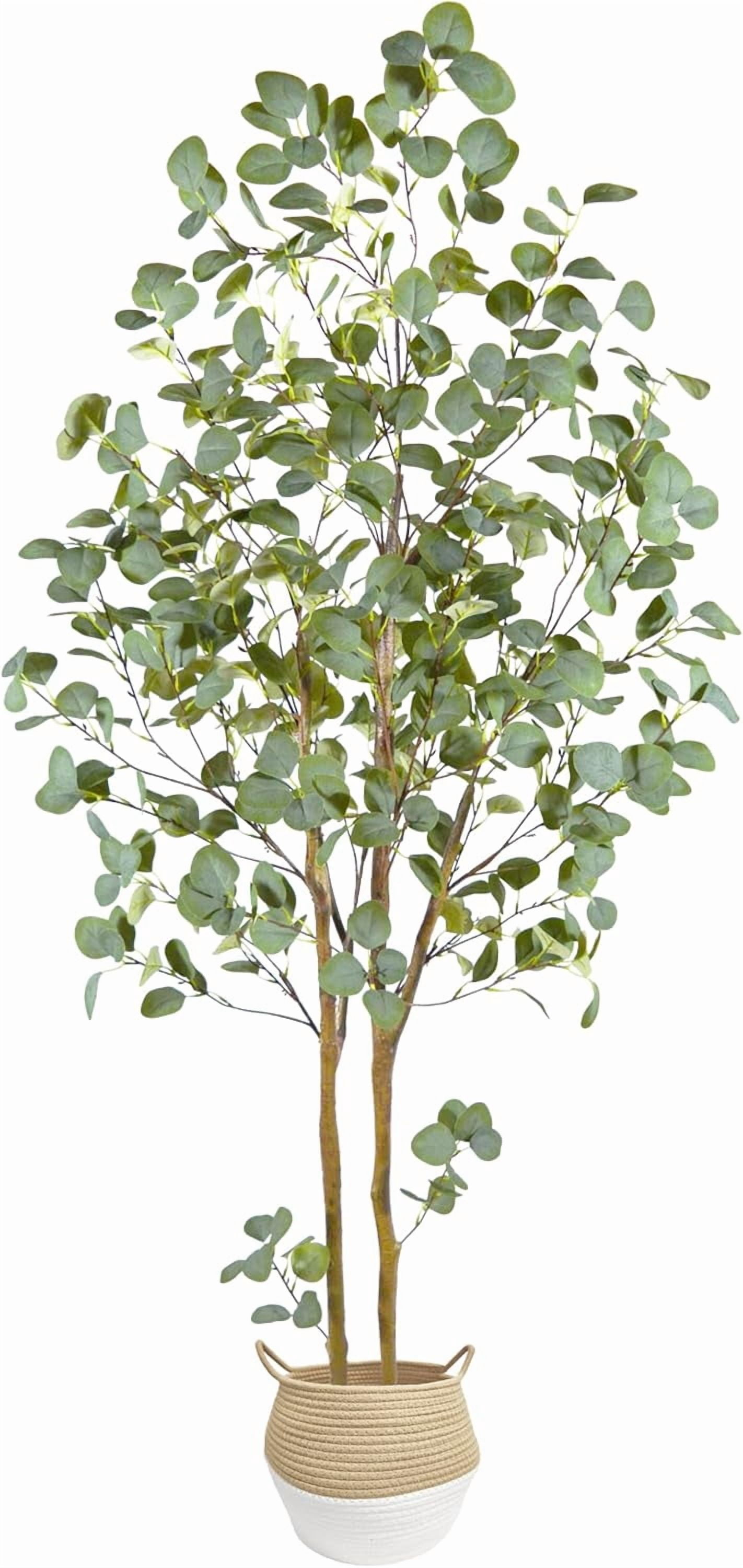 Artificial Eucalyptus Tree 6ft Tall with Woven Basket for Indoor ...