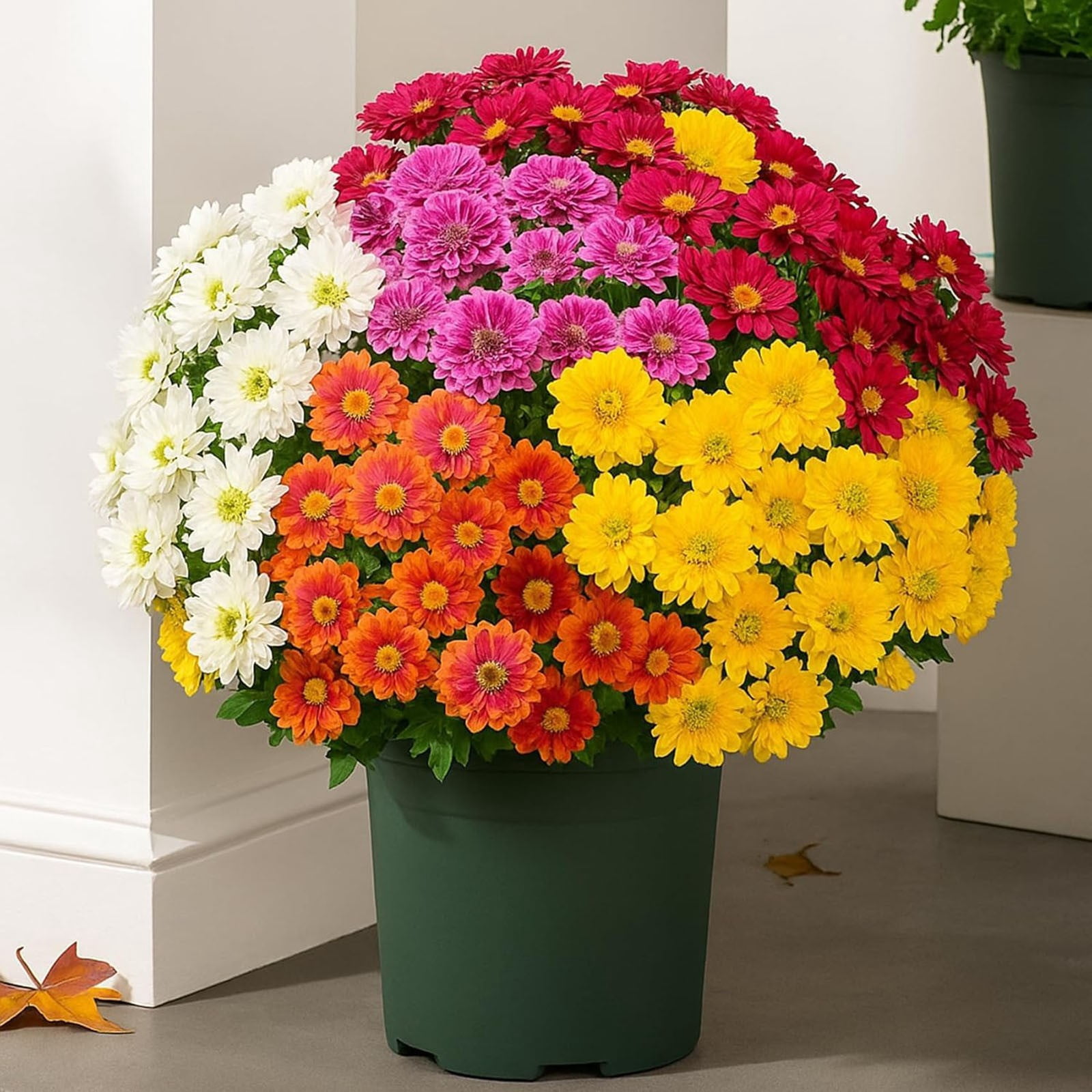 Artificial Fall Chrysanthemum Flowers,Faux Outdoor Mum Bundles,UV ...