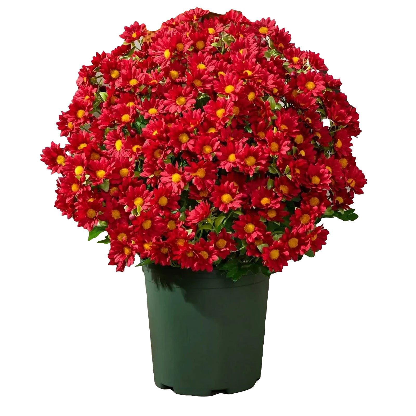 Artificial Fall Flowers Faux Mums for Outdoor Indoor Garden Home ...