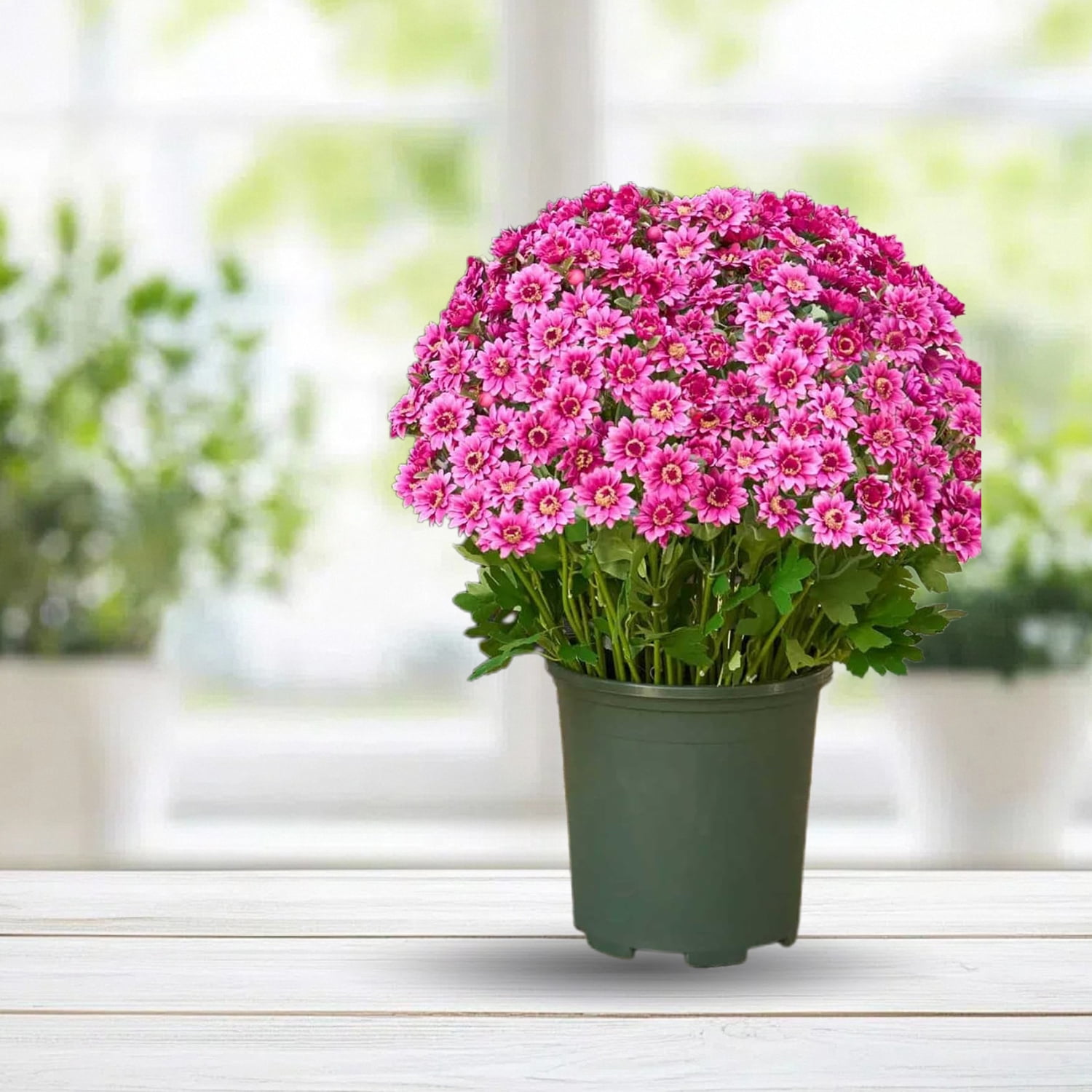 Artificial Fall Flowers Outdoor Fake Mums - 5 Bundles Fake Plants UV ...