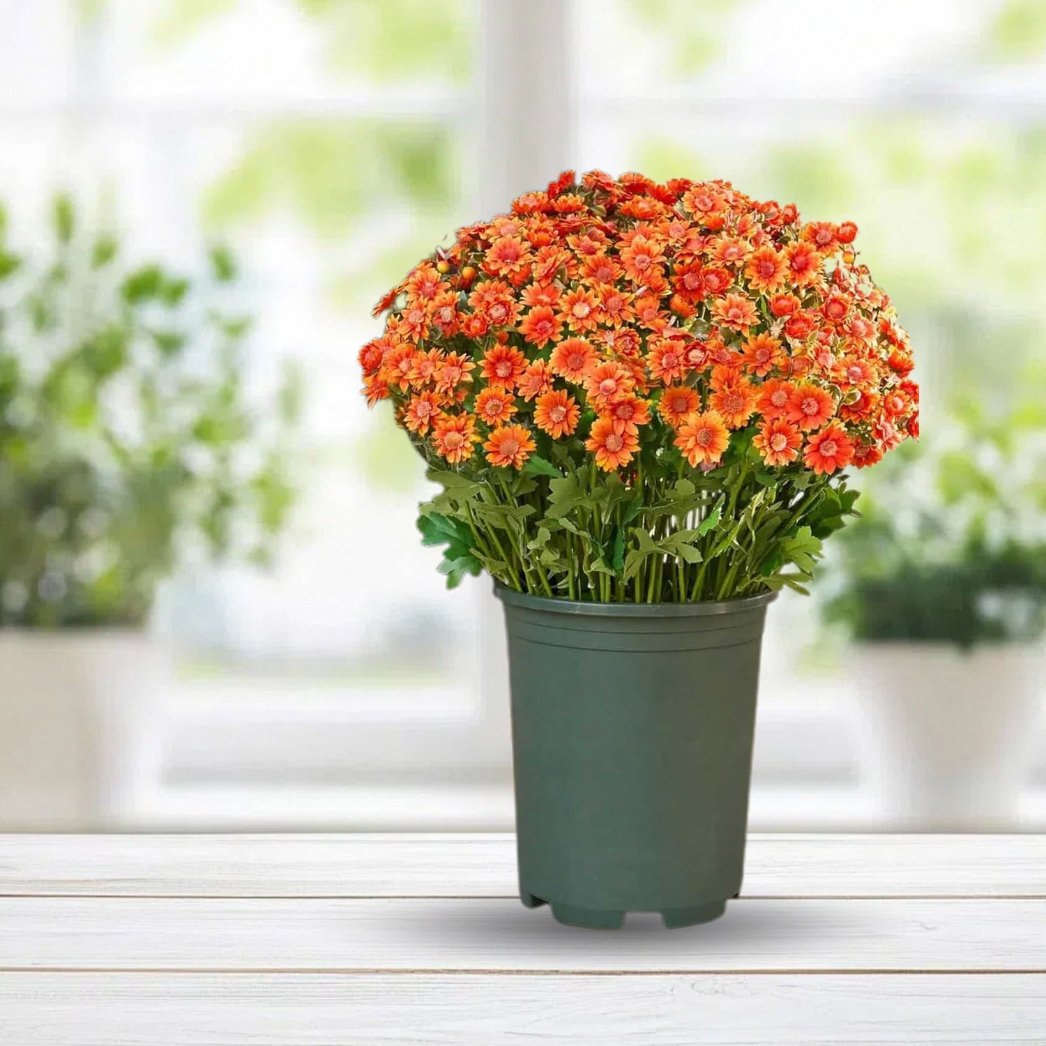 Artificial Fall Flowers Outdoor Fake Mums - 5 Bundles Fake Plants UV ...