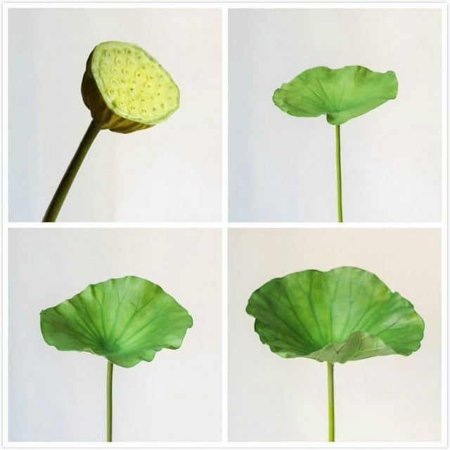 Artificial Faux Plant Lotus Seed and Leaf Stem Various Sizes - Walmart.com