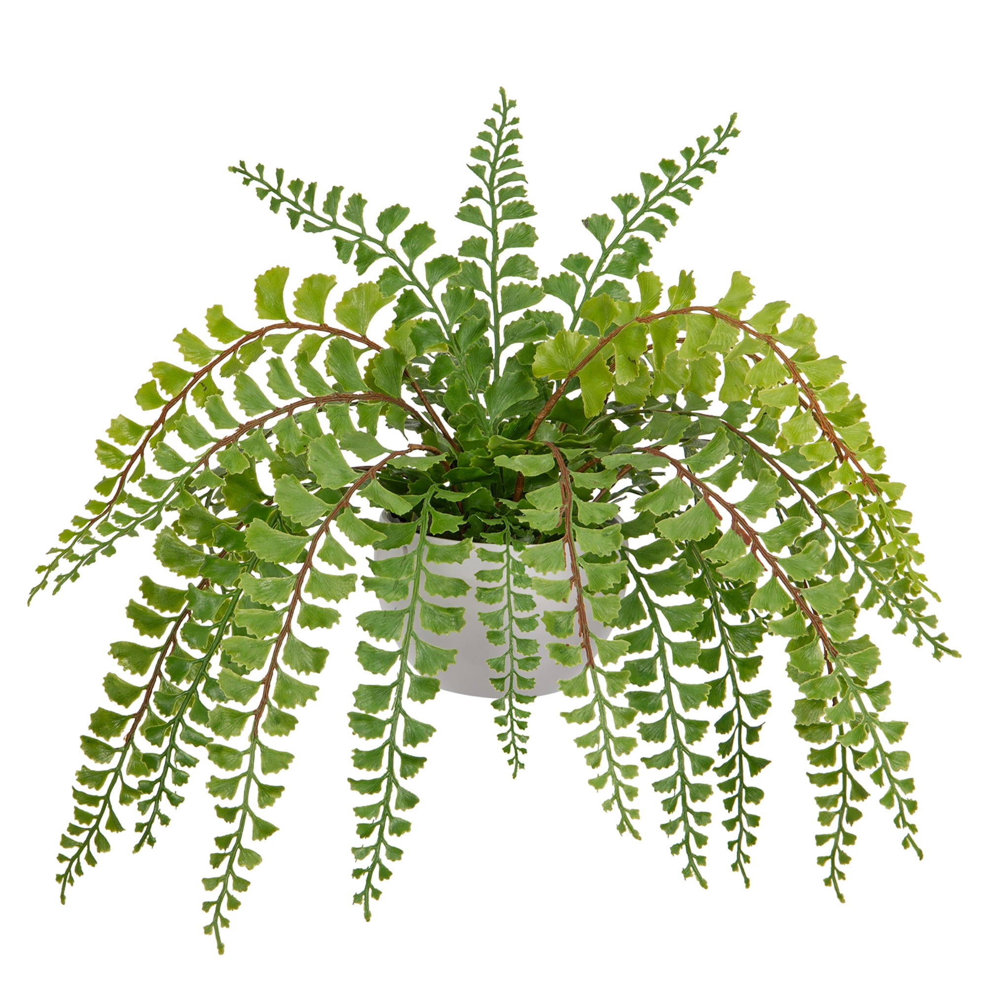 Artificial Fern Potted Plant Realistic Hanging Fake Boston Fern Greenery Artificial Plants Fern ...