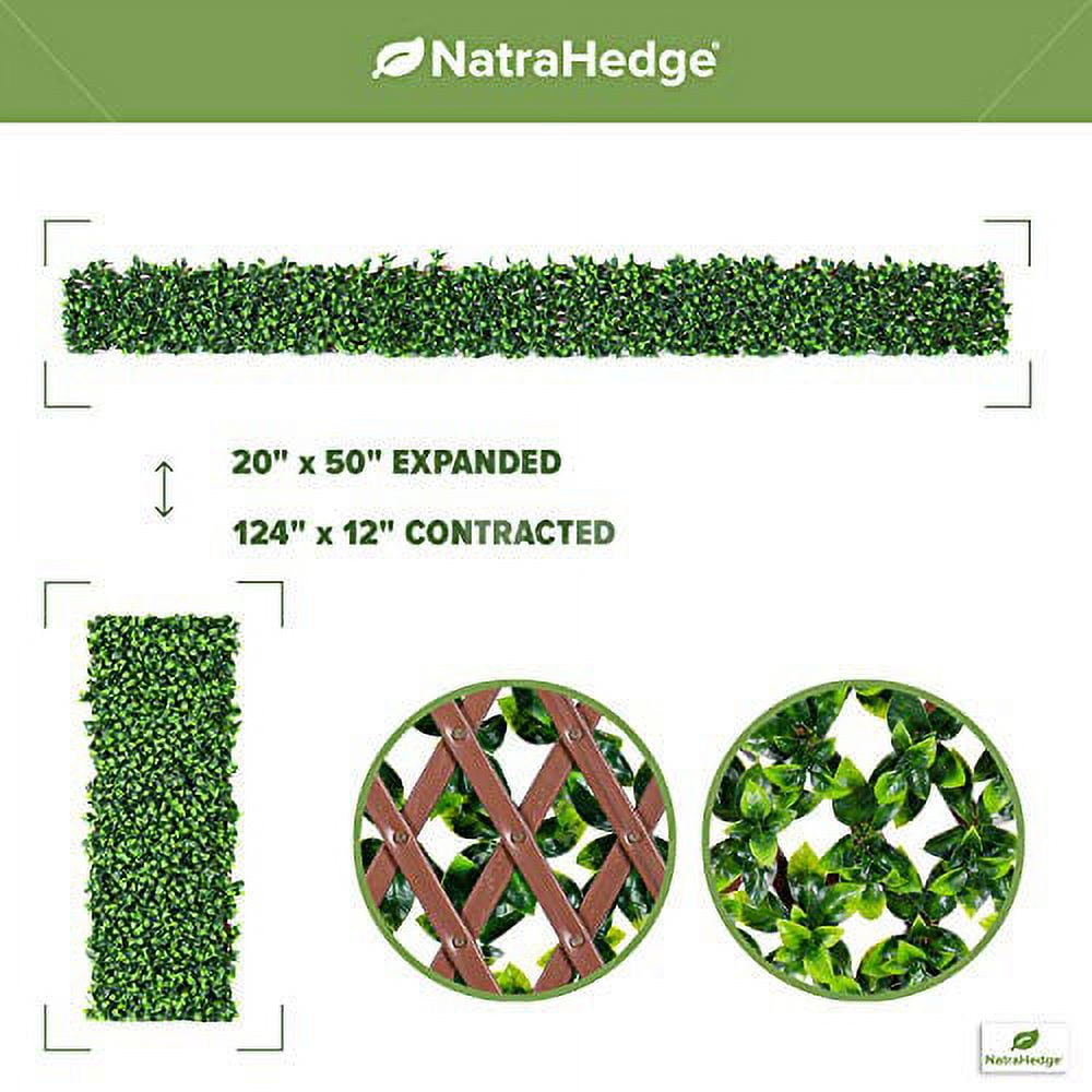 Artificial Ficus Leaf Expandable Lattice - Walmart.com