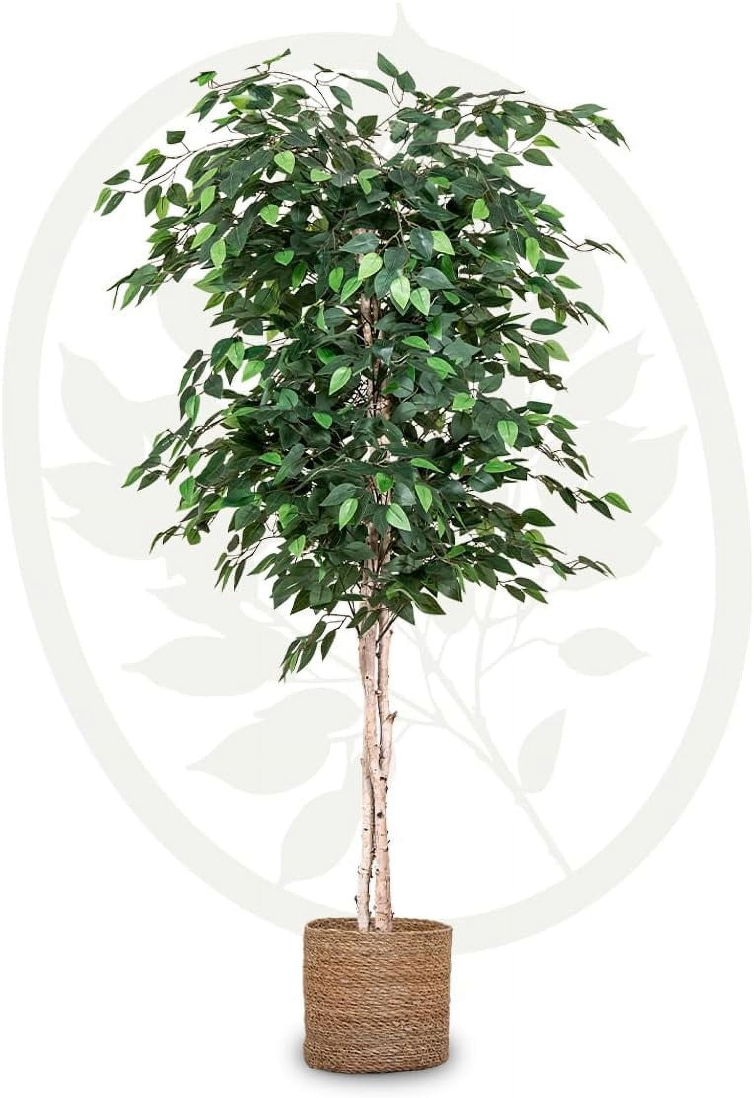 Artificial Ficus Tree 5.9FT Tall, Fake Tree with Natural Wood Trunk ...