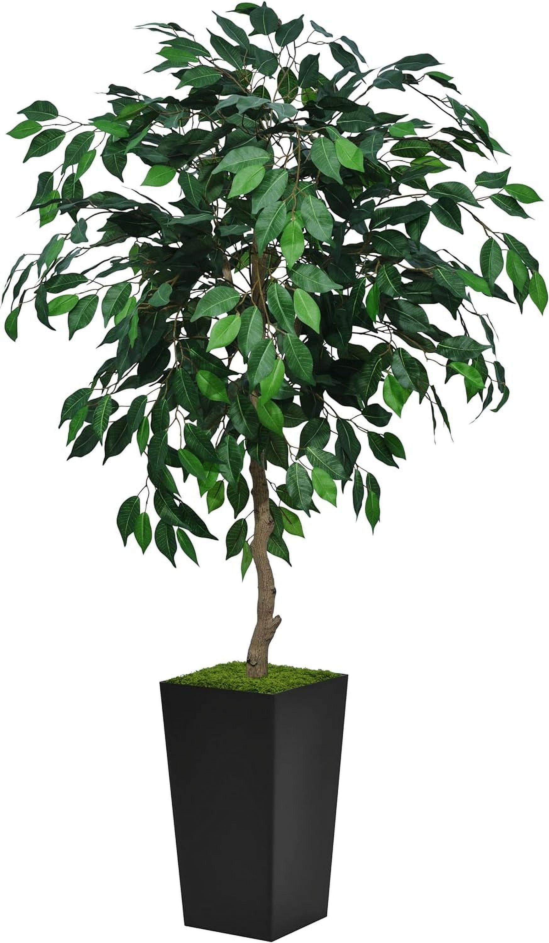 Artificial Ficus Tree 5FT - Faux Indoor Tree with Black Tall Planter ...