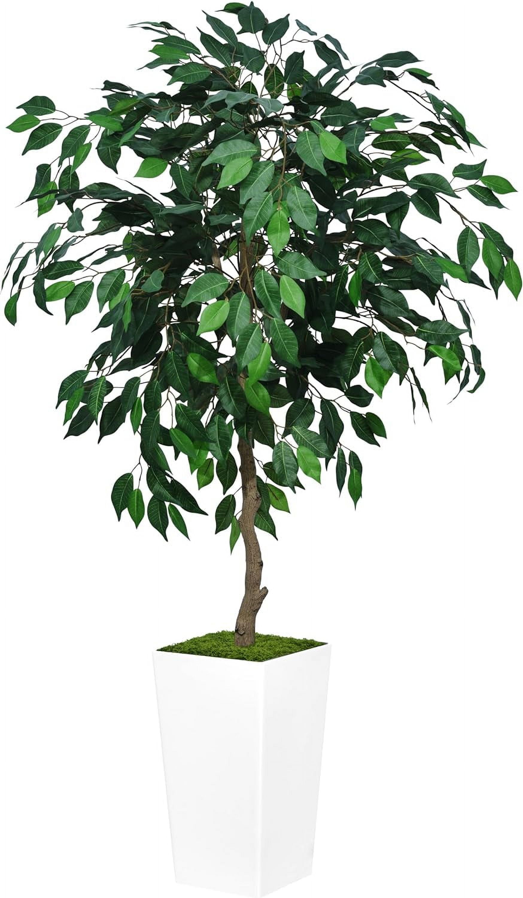 Artificial Ficus Tree 5FT - Faux Indoor Tree with White Tall Planter ...