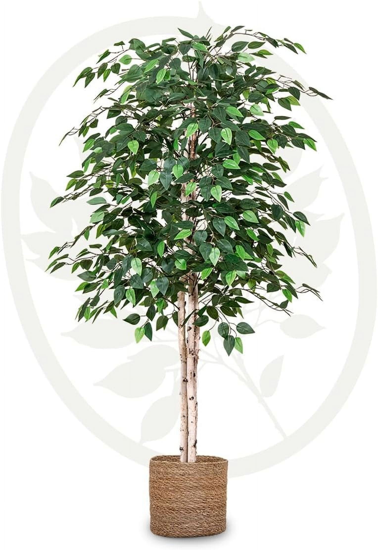 Artificial Ficus Tree 5FT Tall, Fake Tree with Natural Wood Trunk and ...