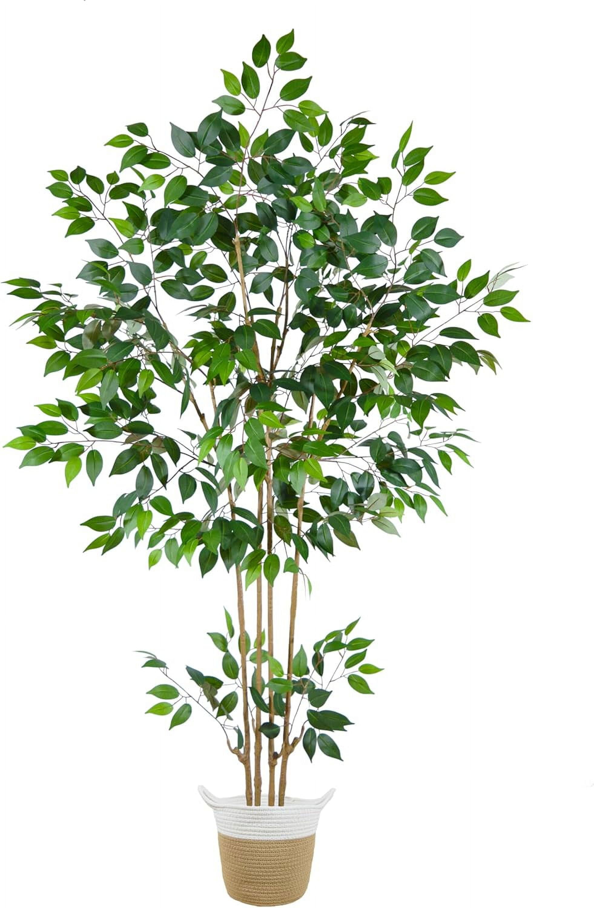 Artificial Ficus Tree, 6ft Tall Silk Fake Ficus Leaves Plant with ...