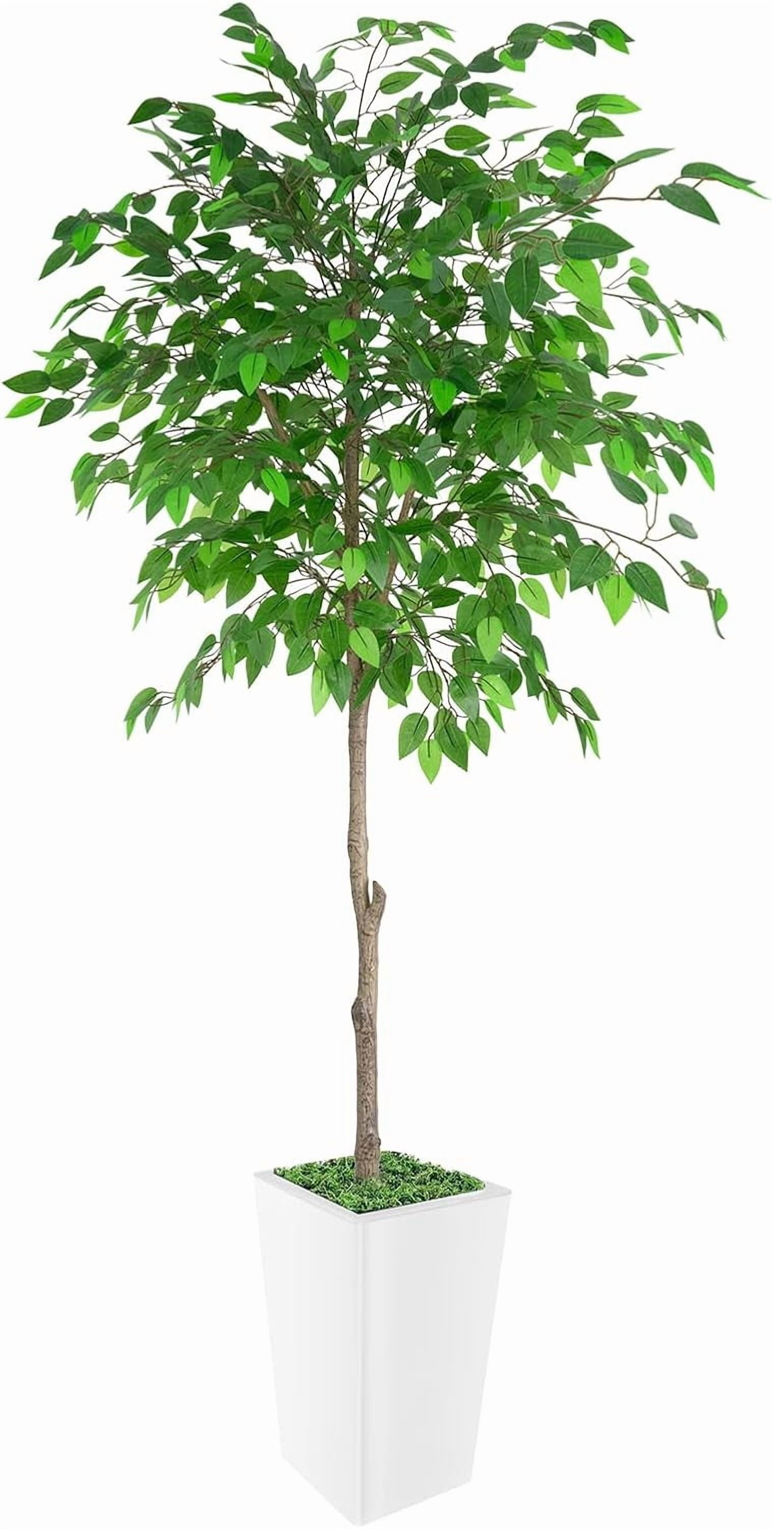Artificial Ficus Tree 7FT, Faux Ficus Tree with Tall White Planter ...