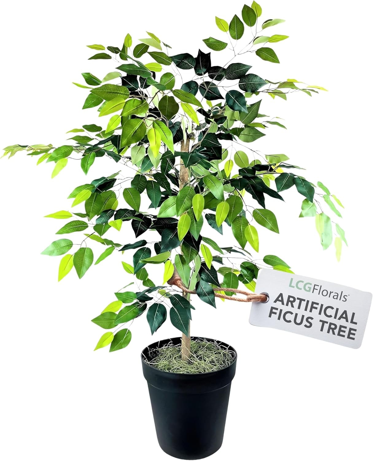 Artificial Ficus Tree with Real-Wood Trunk & Black Plastic Pot - Indoor ...