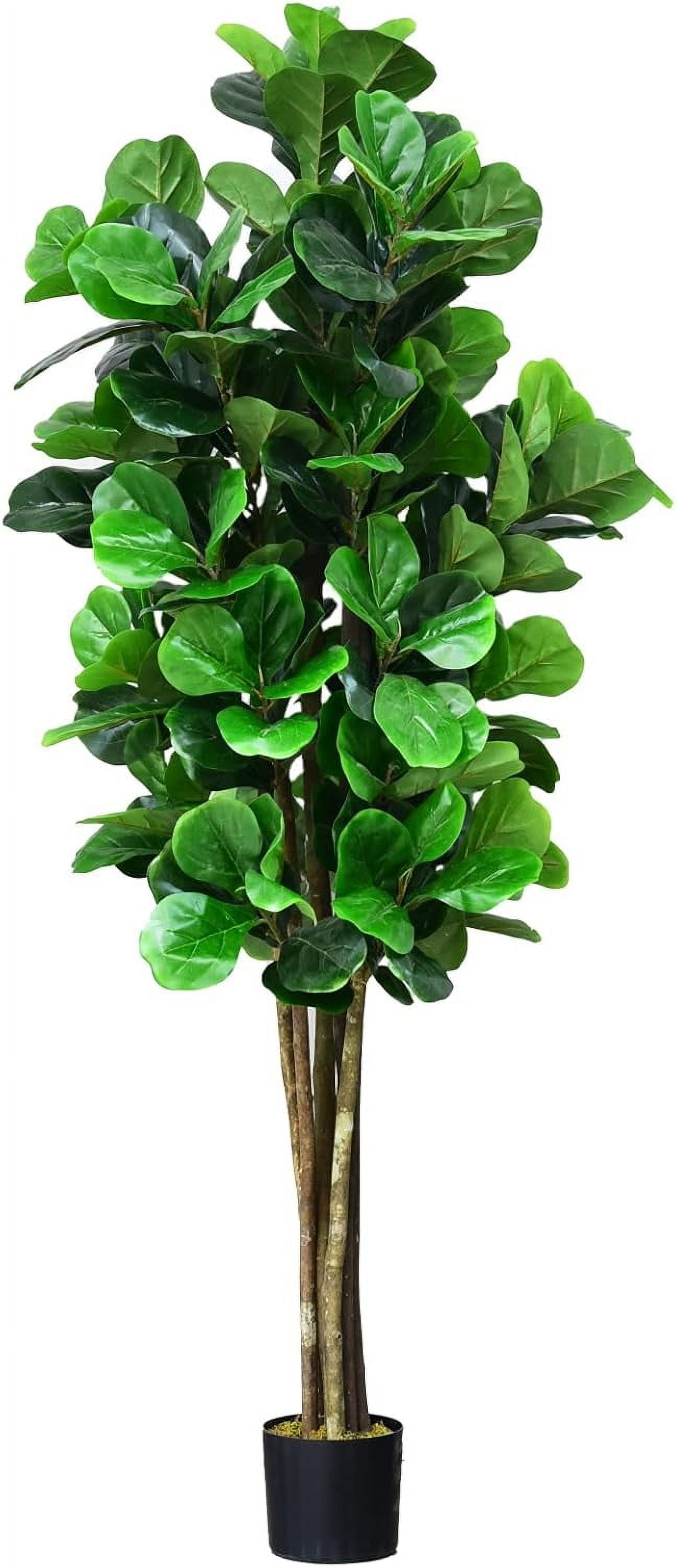 Artificial Fiddle Leaf Fig Tree 6 FT, Tall Faux with 232 Ficus Lyrata ...