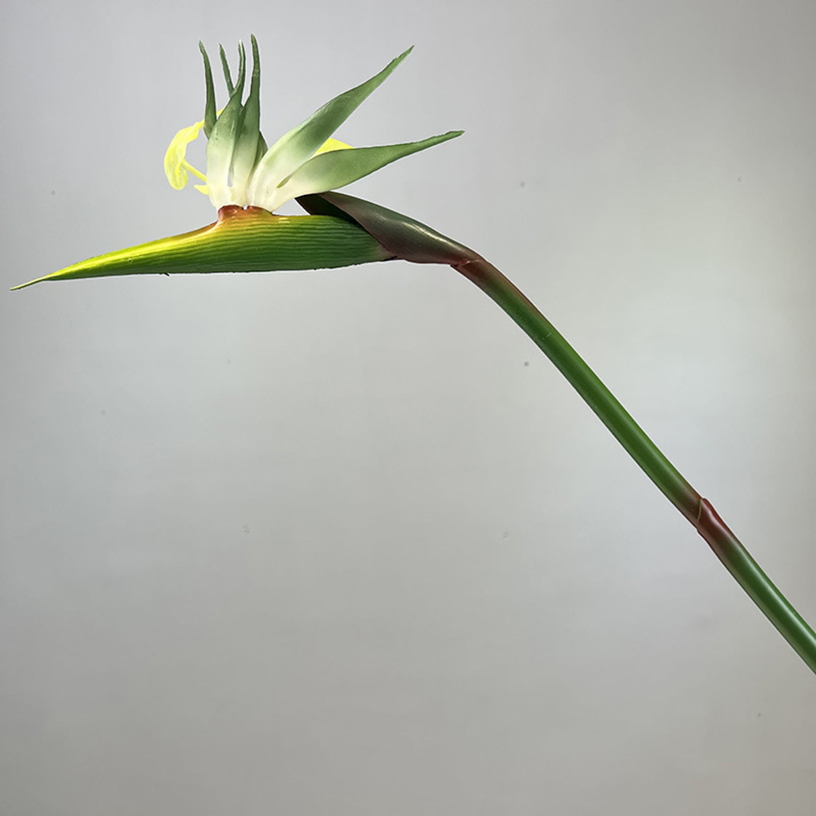 Artificial Flower Lifelike Bird of Paradise Realistic Non-fading And ...