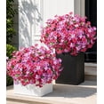 Artificial Flowers for Outdoors Decoration, 20 Bundles Faux Morning ...