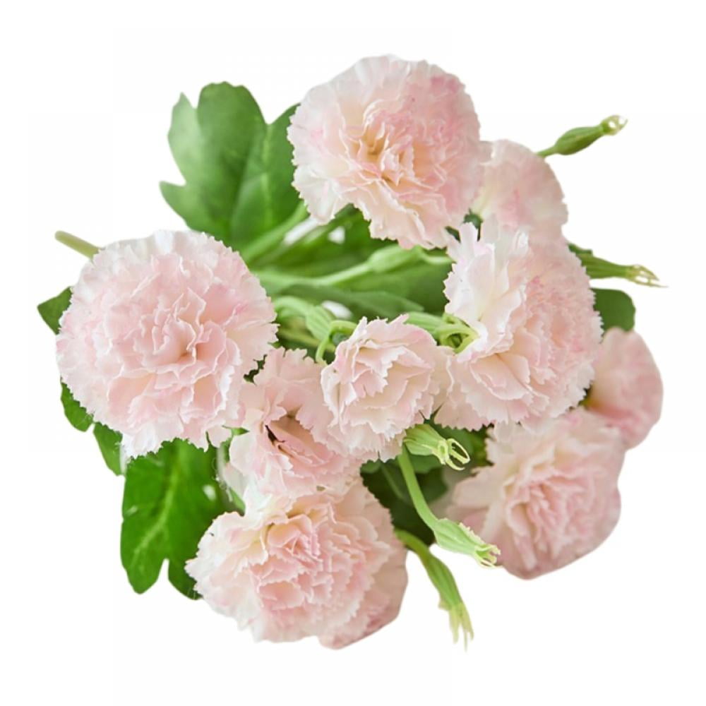 Artificial Flowers Plastic Carnation Flowers Fake Carnation Bouquet ...
