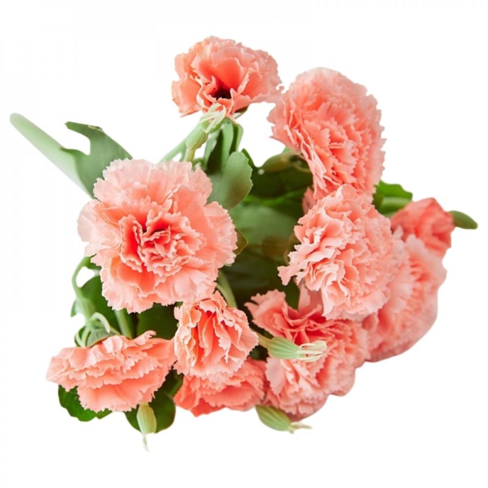 Artificial Flowers Plastic Carnation Flowers Fake Carnation Bouquet ...