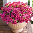 Artificial Flowers Rose Red with Eucalyptus Leaves for Outdoor Indoor ...
