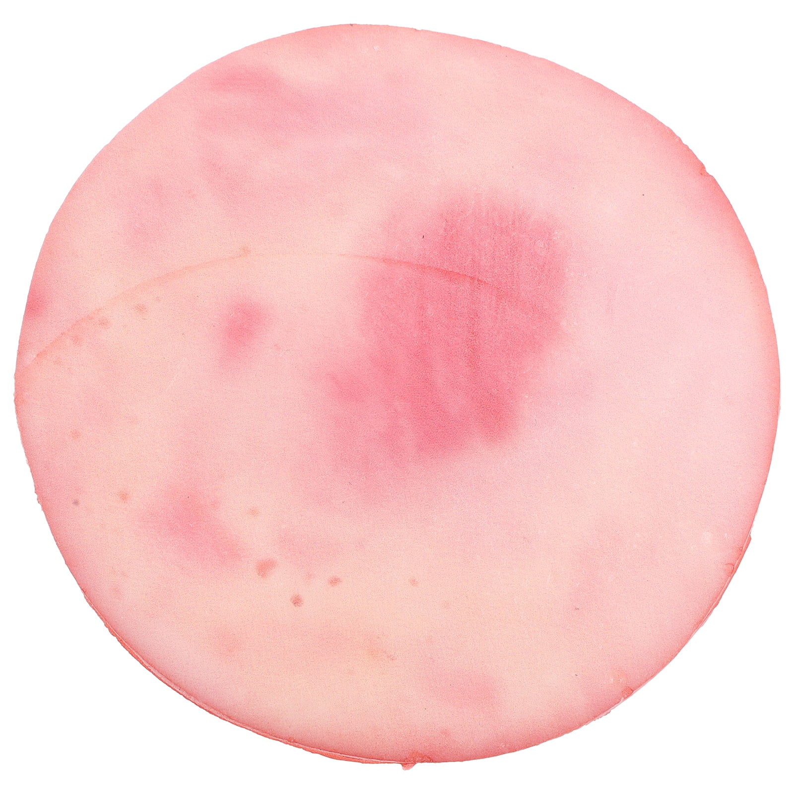 Artificial Food Model Simulation Luncheon Meat Restaurant Fake Luncheon ...