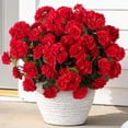 Artificial Geranium Flowers for Outdoors Decoration, Fake Silk ...